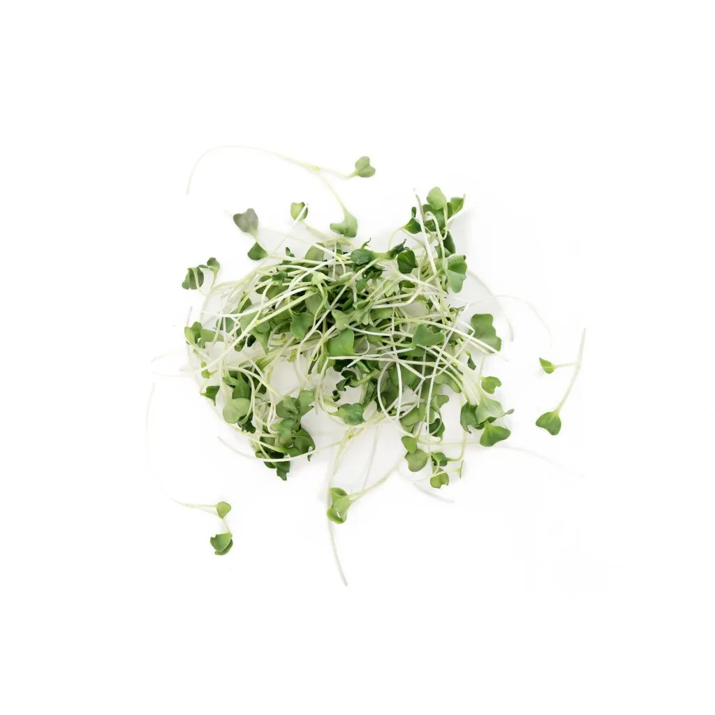 Mock Ingredient Block - Papillex®