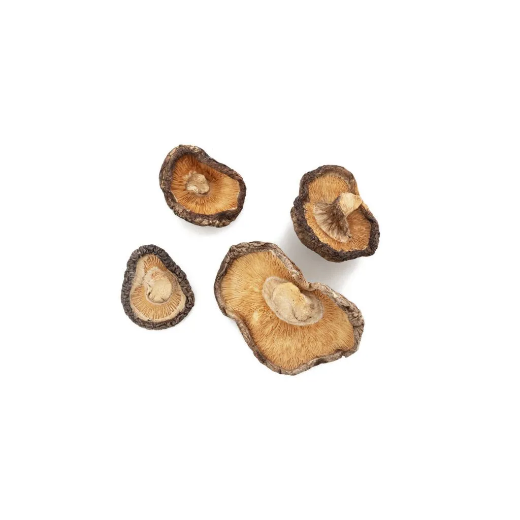 Mock Ingredient Block - Papillex®